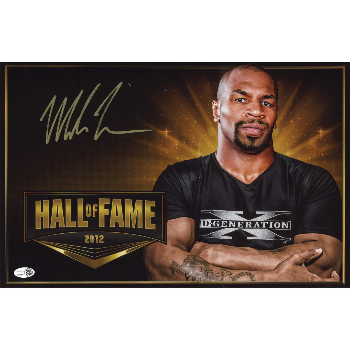 Mike Tyson Hall of Fame 11 x 17 Poster - JSA AUTOGRAPHED — Highspots.com
