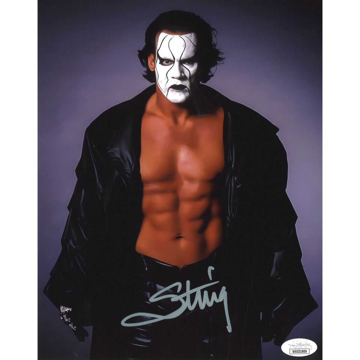 Sting Shirtless 8 x 10 Promo - JSA AUTOGRAPHED — Highspots.com
