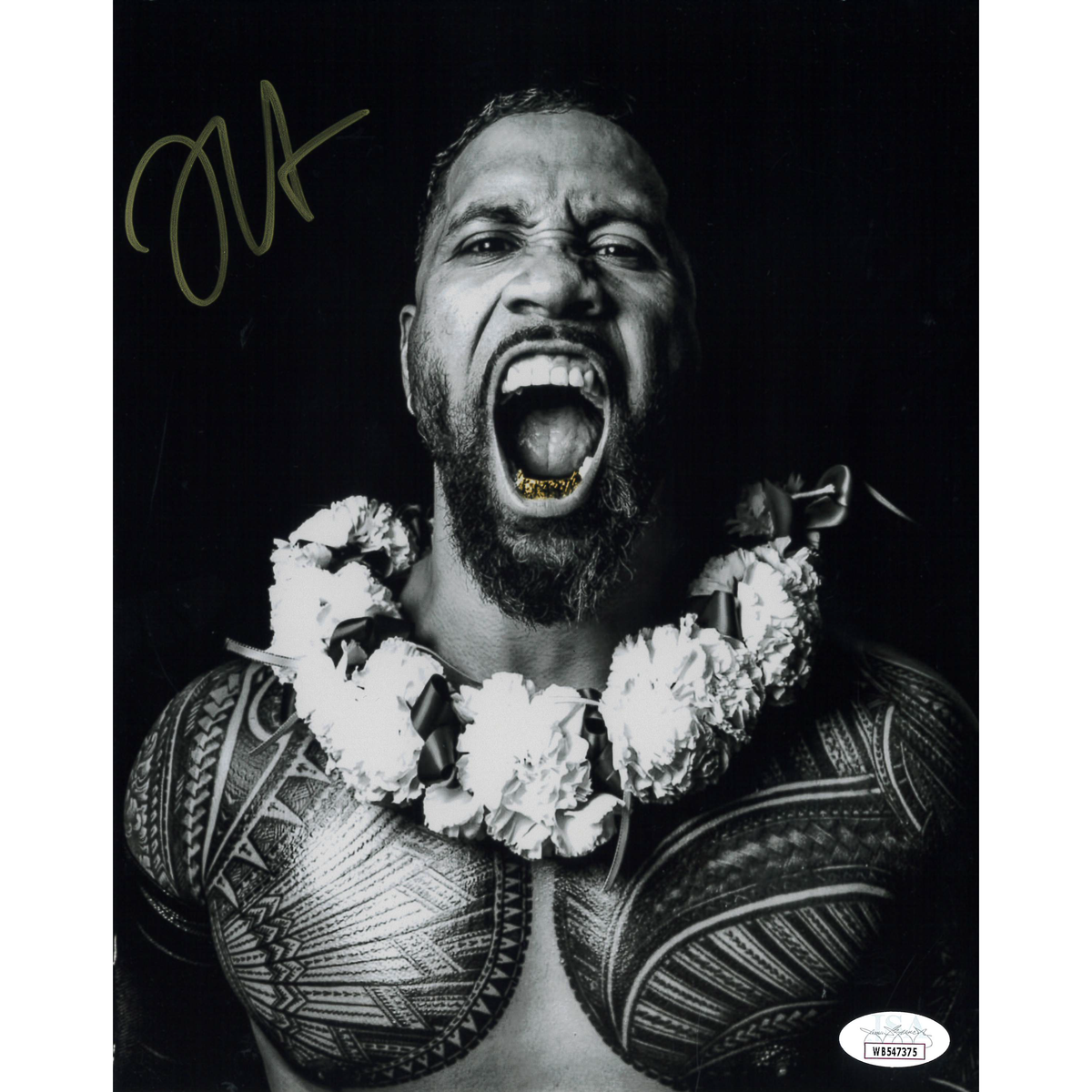 Jey Uso Lei Spotlight METALLIC Promo - JSA AUTOGRAPHED — Highspots.com