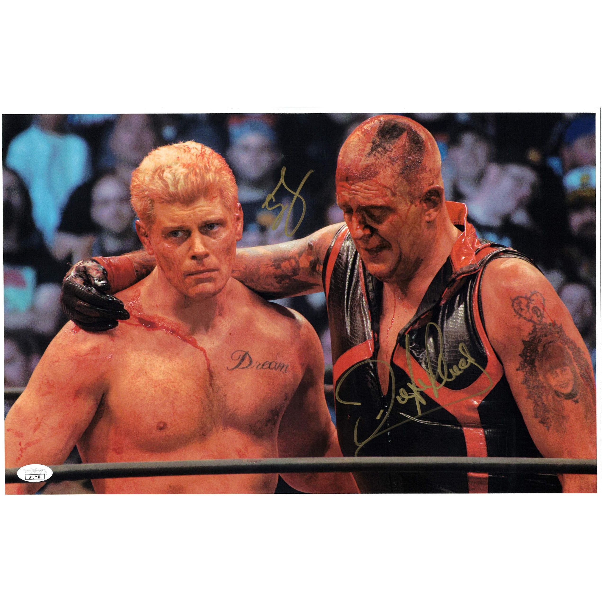 Dustin & Cody Rhodes Bloody Hug 11 x 17 Poster - JSA DUAL AUTOGRAPHED ...