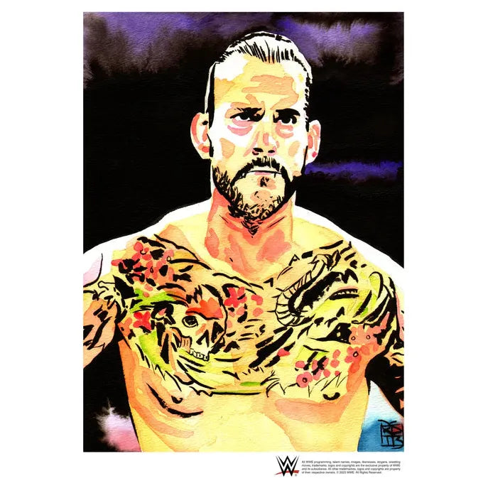 CM Punk: Go to Sleep 11x14 Poster — Highspots.com
